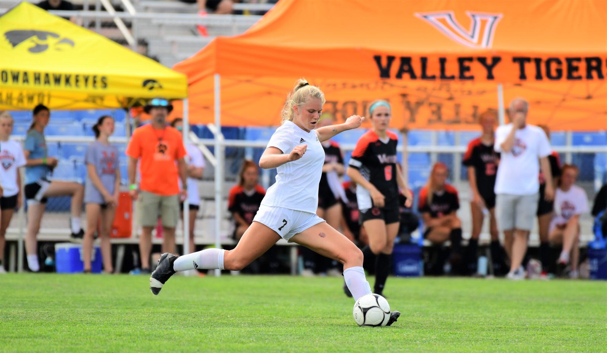 Kovacs earns all-tournament honors after Mavericks capture NSIC championship