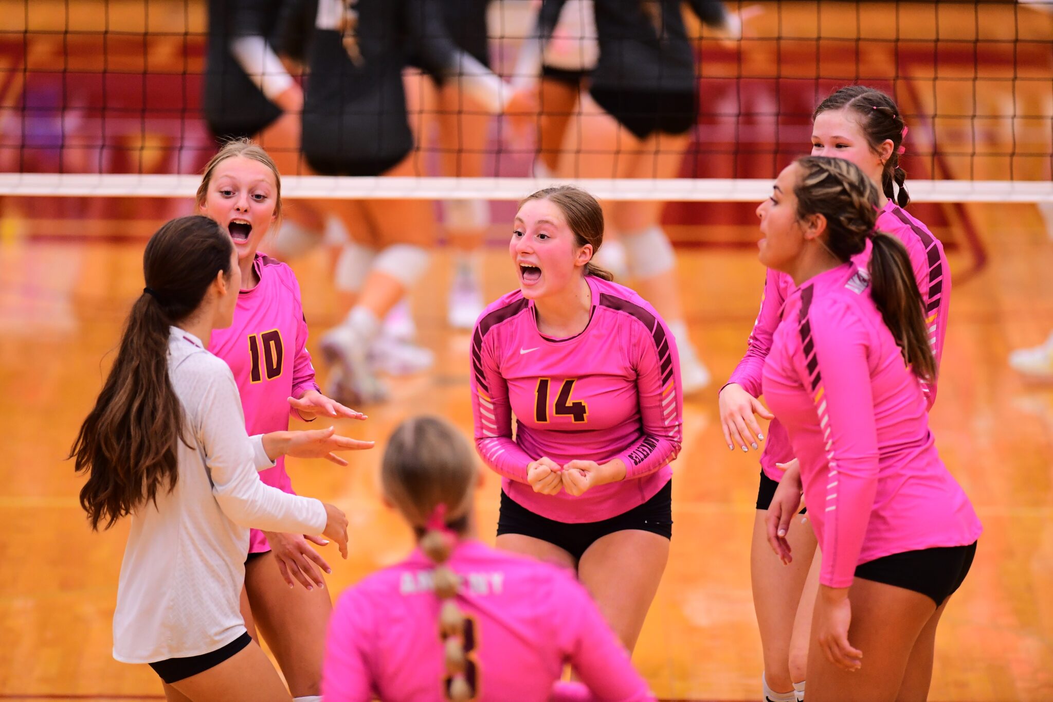 Hawkettes, Jaguars (and Eagles) ready to make deep runs in Coralville