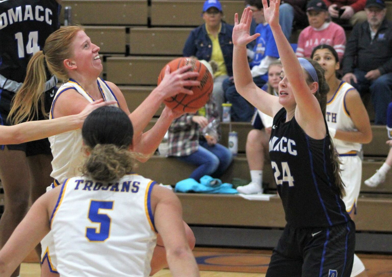NIACC’s Pippett named ICCAC player of the week for 2nd time in her career