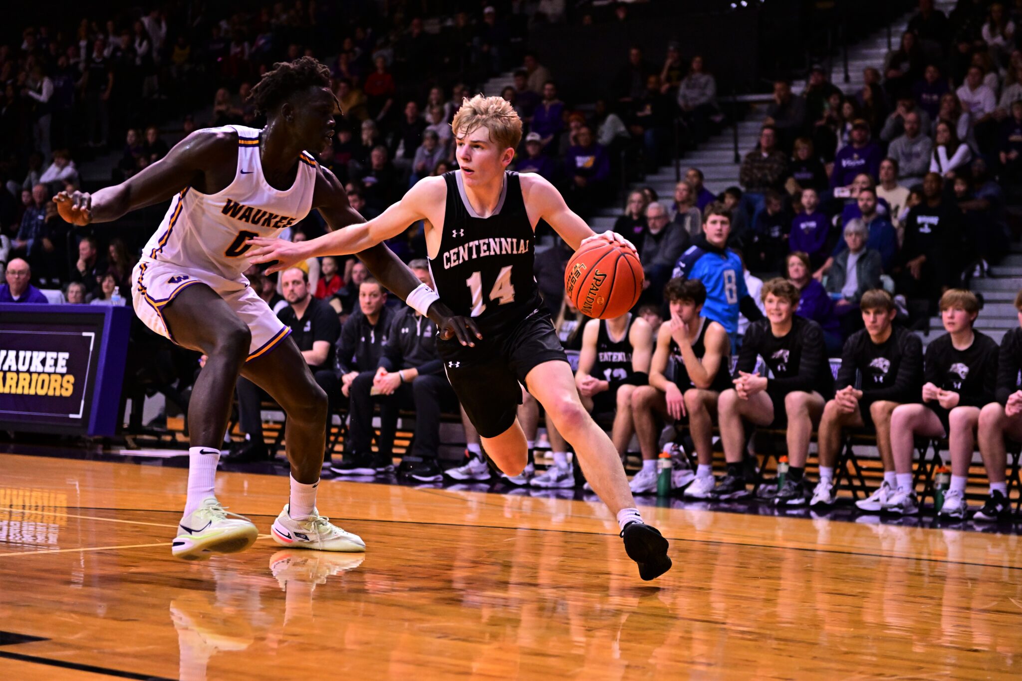 Ankeny Fanatic Prep of the Week: Luke Winkel, Centennial boys’ basketball