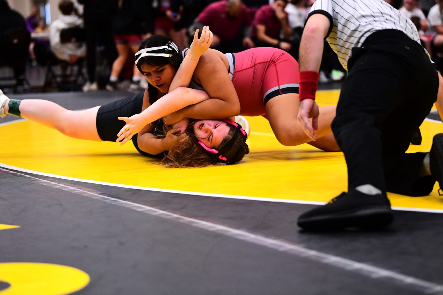 ‘This was a great test for our girls’: Five Ankeny wrestlers claim ...