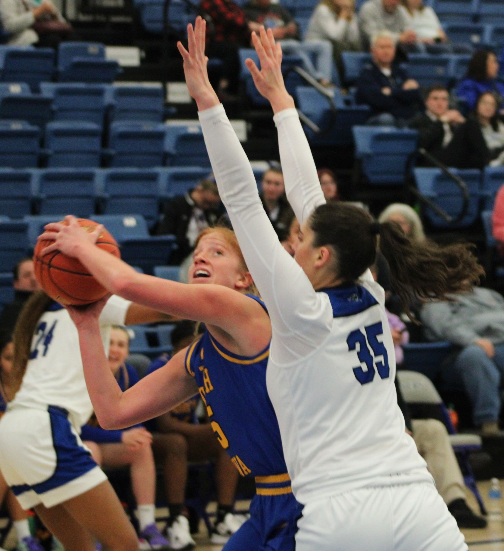 After strong season, NIACC soph Pippett named to NJCAA Region XI second ...