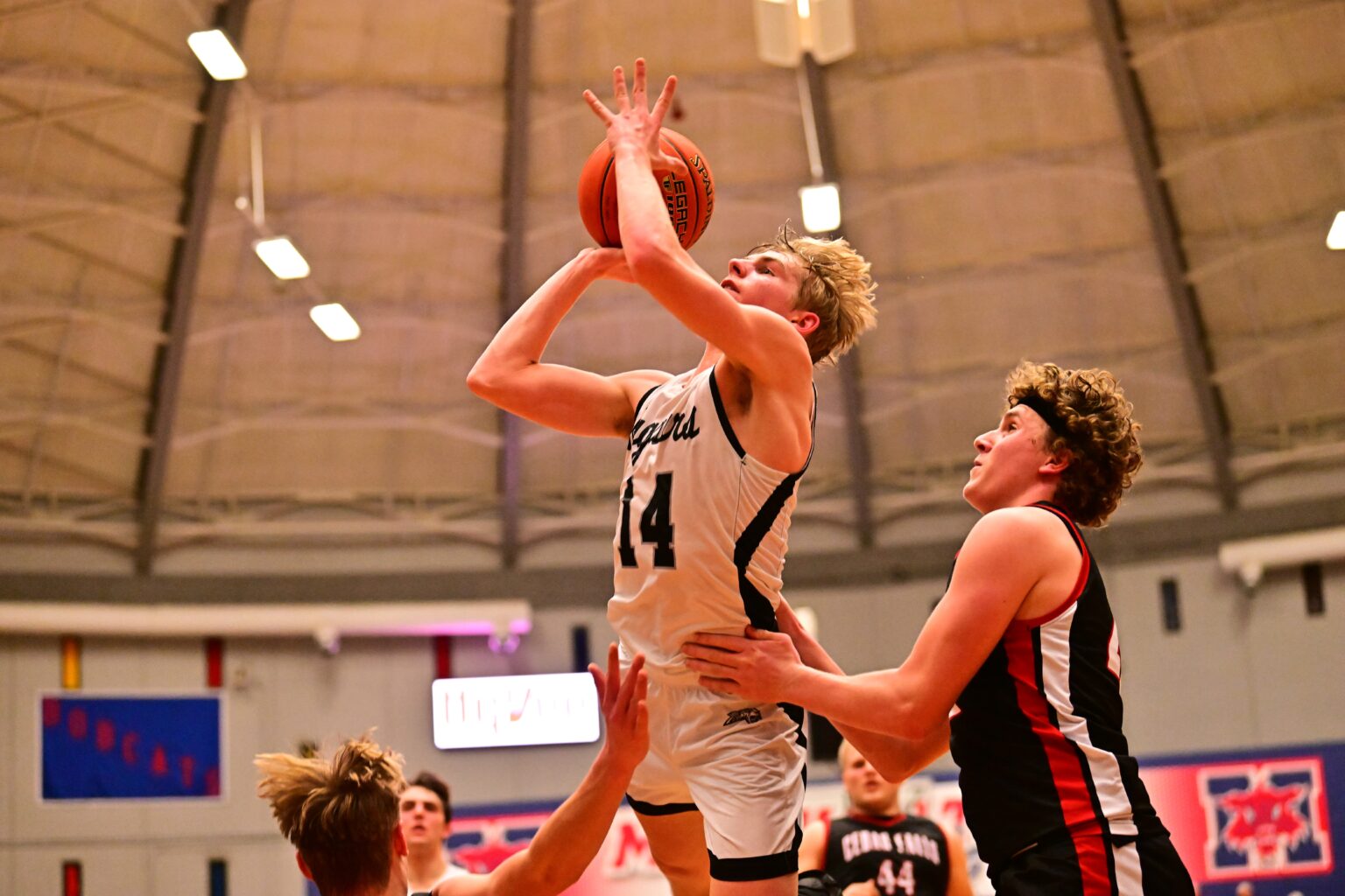 Centennial point guard Winkel to play basketball next year at St. Cloud ...