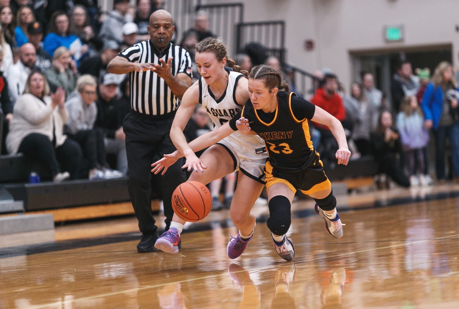 Ankeny Fanatic – Your Ankeny Sports Resource