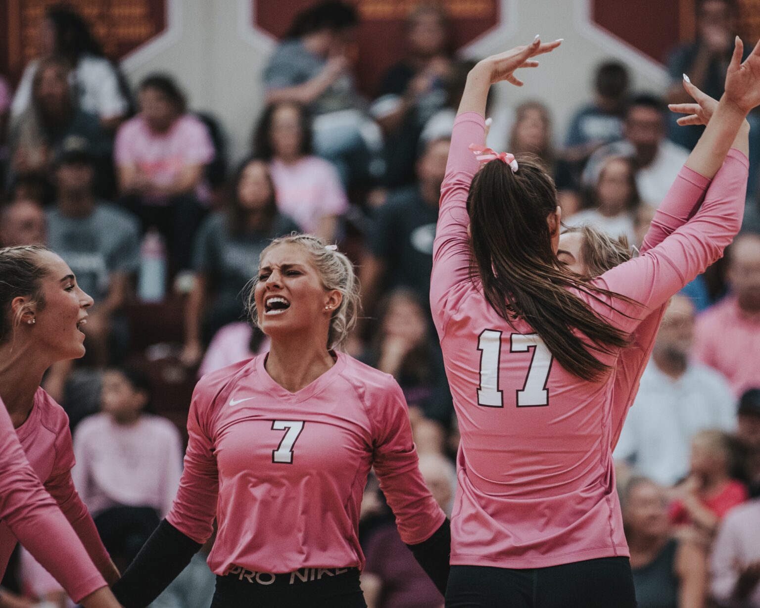 ‘I see great things to come’: Hawkettes to rebuild around Ellison, Risk ...